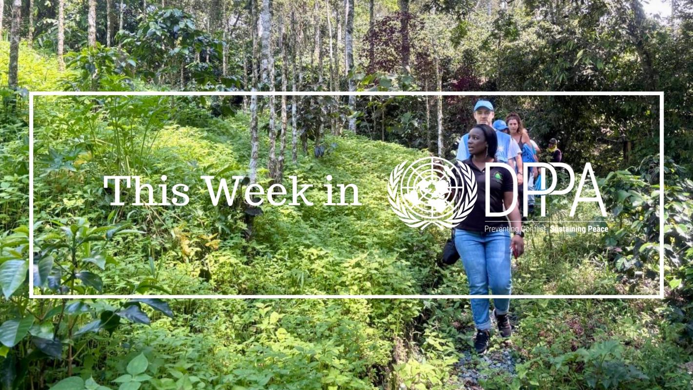 This Week in DPPA: 3 - 9 January 2026 | DPPA